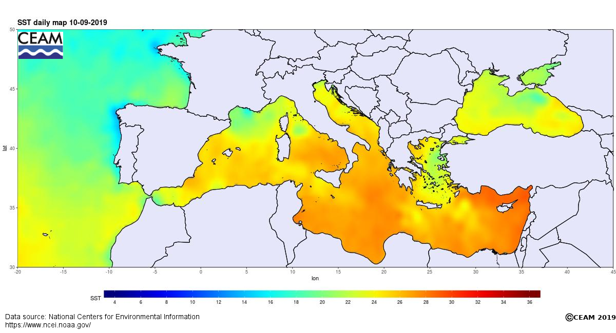 La Temperatura Del Mar Mediterr neo A Lo Largo De Los A os Surcando Mares La Temperatura Del Mar Mediterr neo A Lo Largo De Los A os Surcando Mares